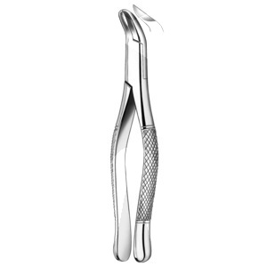 Dontalia.com - One-Stop-Shop for Dental, Ortho & Lab needs FORCEPS N.79 ...